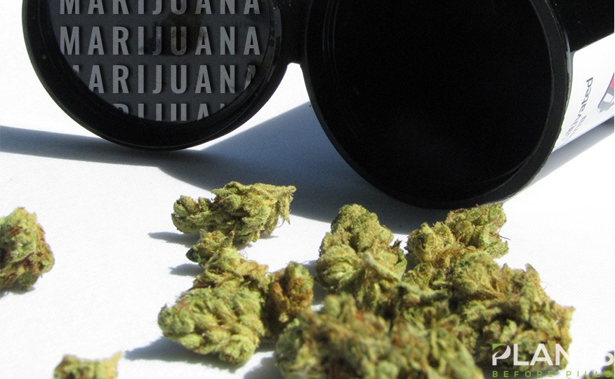 Marijuana Addiction - Signs You Need to Know | Plants Before Pills