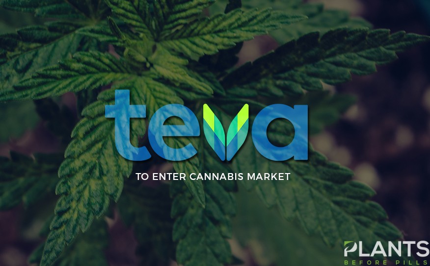 Teva Pharmaceuticals to Enter Cannabis Market - Plants Before Pills