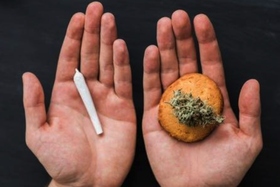 The Differences between Smoking versus Eating Cannabis - Plants Before ...
