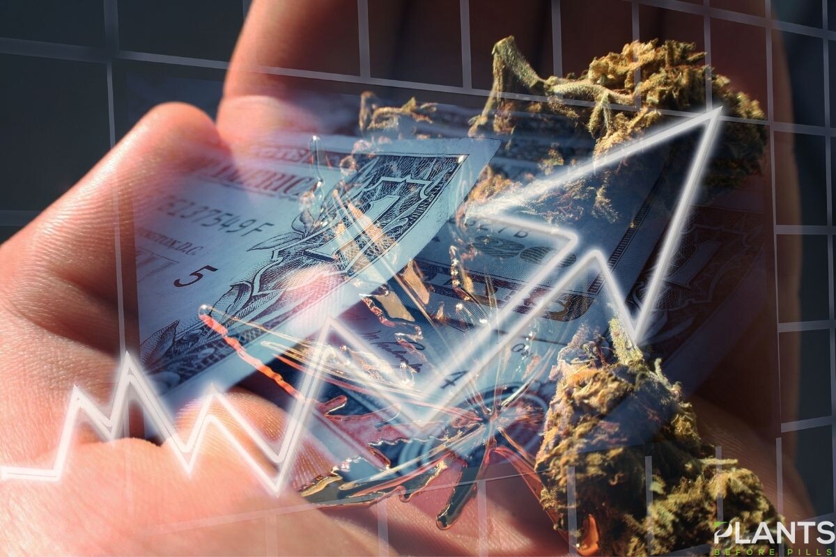 Discover How to Invest in CBD Stocks in a Booming Market