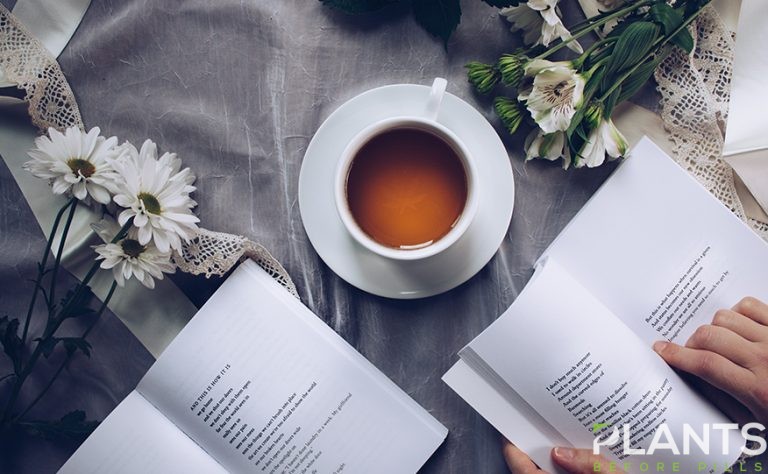 Poetry and Marijuana - Best Poems To Read - Plants Before Pills