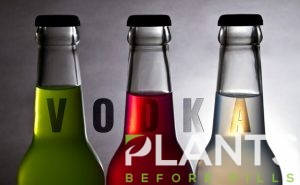 What You Need to Know About Cannabis Vodka - Plants Before Pills