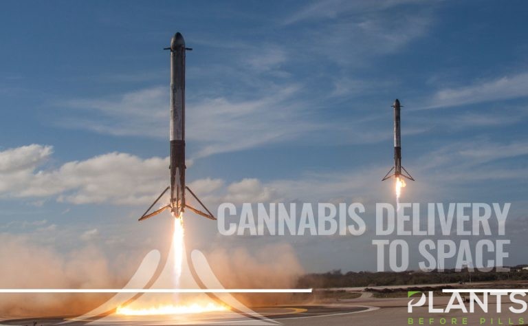 SpaceX to Bring Cannabis Delivery to Space, Observe Mutation - Plants ...