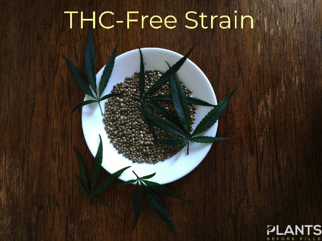 THC-Free Strain is Now Available in the US | Plants Before Pills
