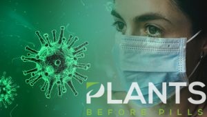Life in Quarantine: Coping with CBD - Plants Before Pills