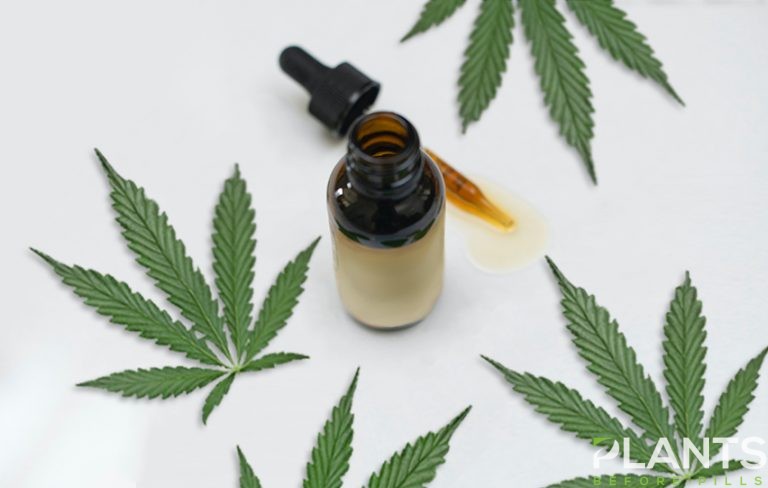 5 Ways To Use Cbd Oil To Enhance Your Lifestyle Plants Before Pills