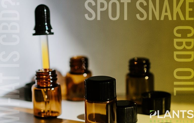 How To Spot Snake CBD Oil - Plants Before Pills