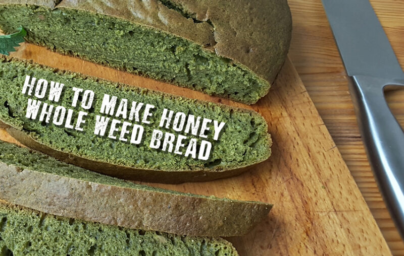 5 Horror Movies to Match with CBD Snacks | Plants Before Pills