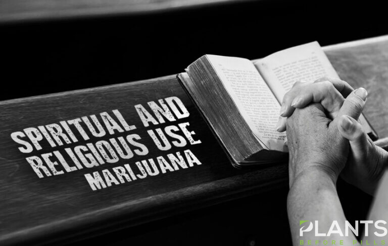 Spiritual & Religious Use | Marijuana [VIDEO] - Plants Before Pills