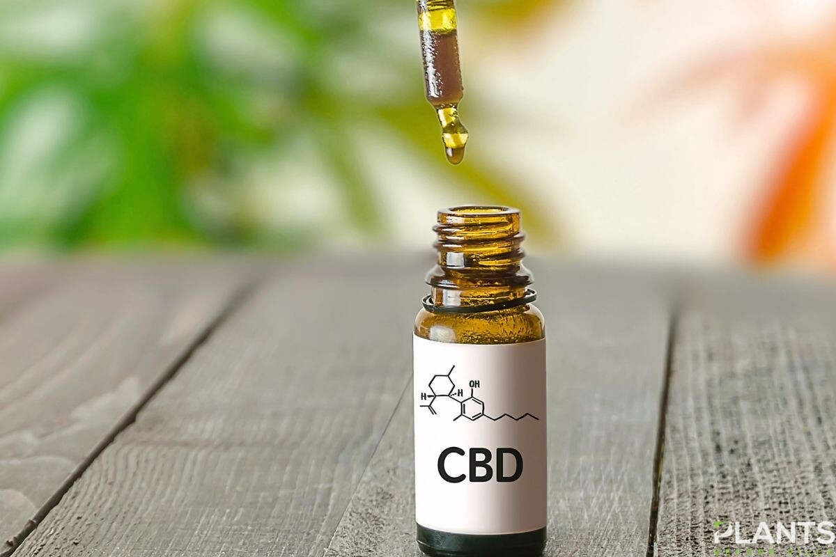 CBD Oil Use Cases for Parents - Plants Before Pills